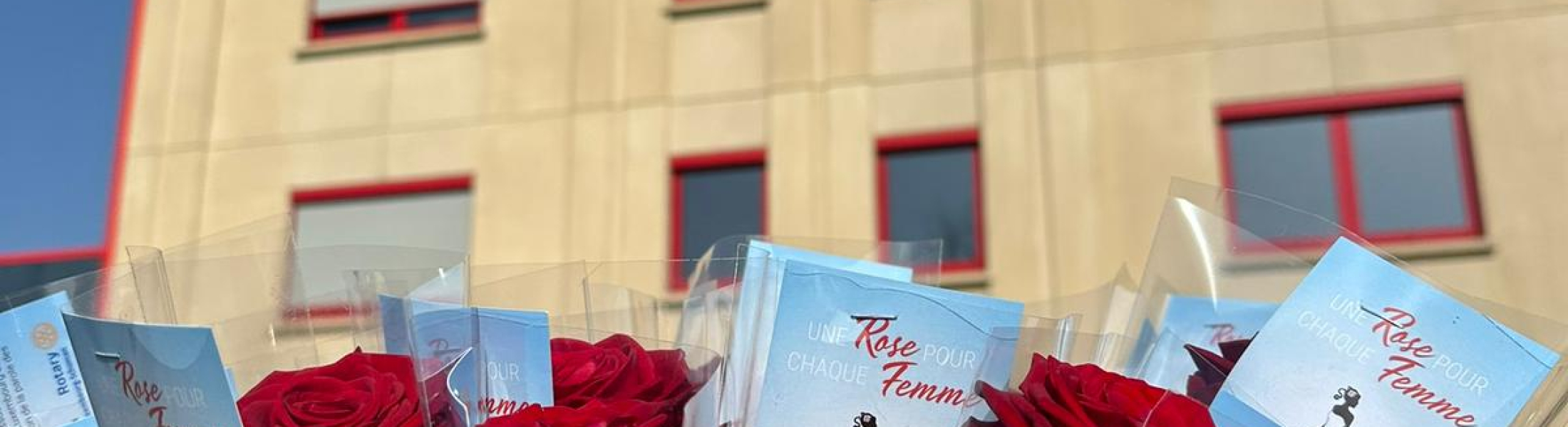🌹 Arthur Welter commits to International Women’s Day 2026 – Arthur Welter